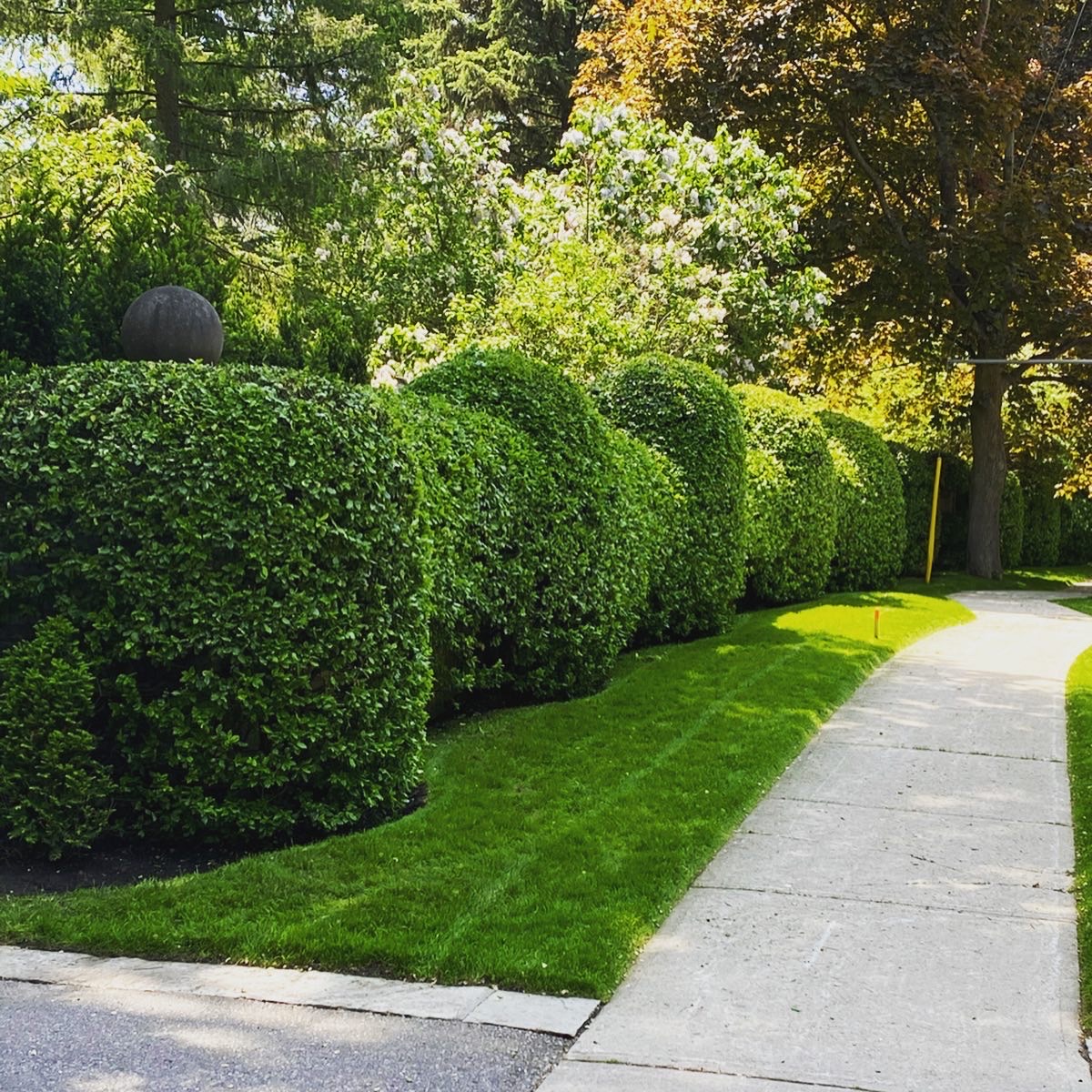 VP Landscape LTD – VP Landscape has been in business for the past 17 ...