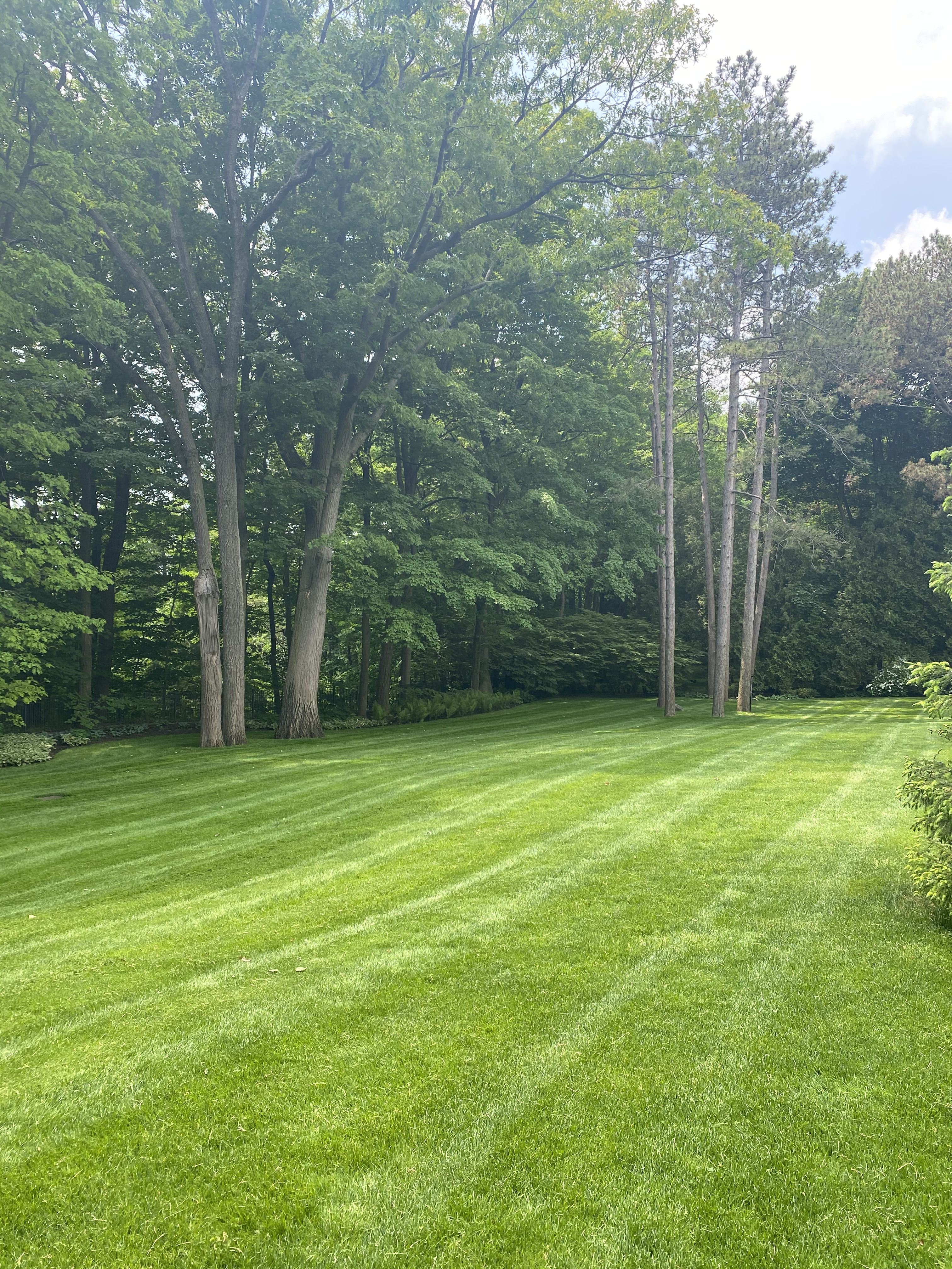 Our Services – VP Landscape LTD
